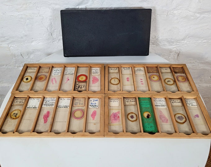 24 Antique and Vintage Microscope Slides / Microscope Slides in Box ...