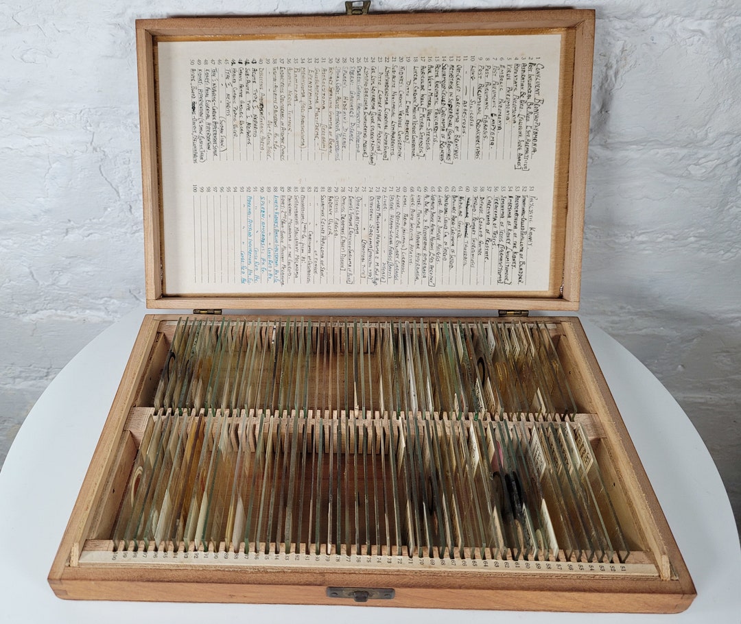 100 Antique and Vintage Microscope Slides / Microscope Slides in Box ...