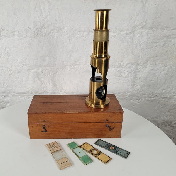 Antique Microscope Slides in Box - Etsy