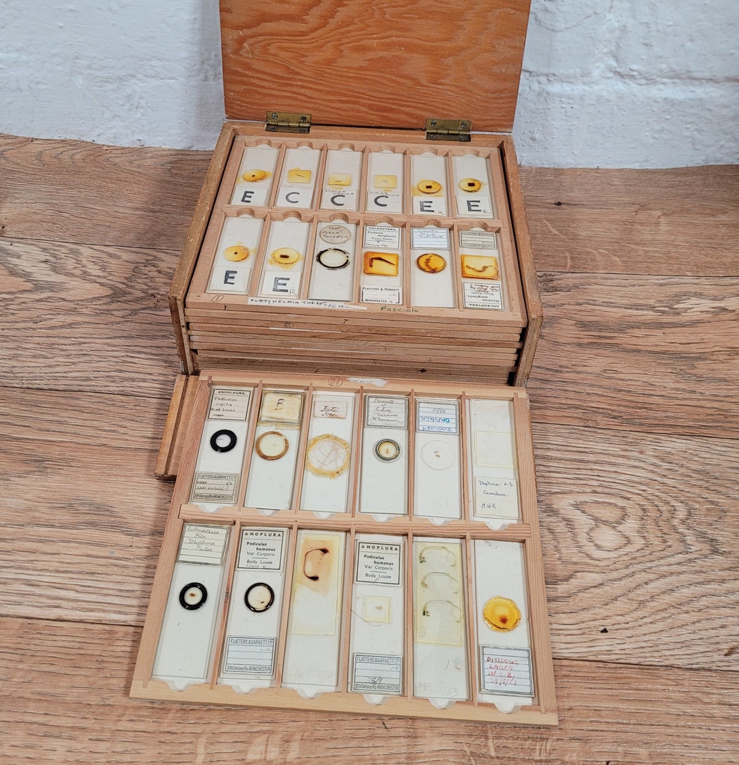 144 Antique Victorian and Later Microscope Slides: 144 Slides in Wooden ...
