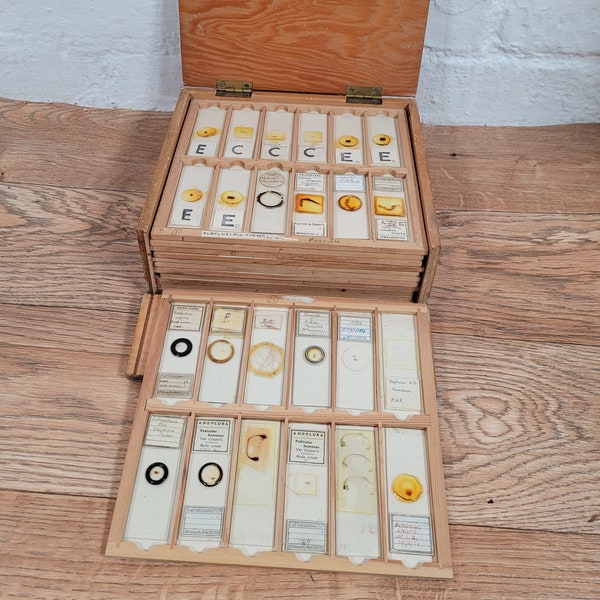 Antique Microscope Slides in Box - Etsy