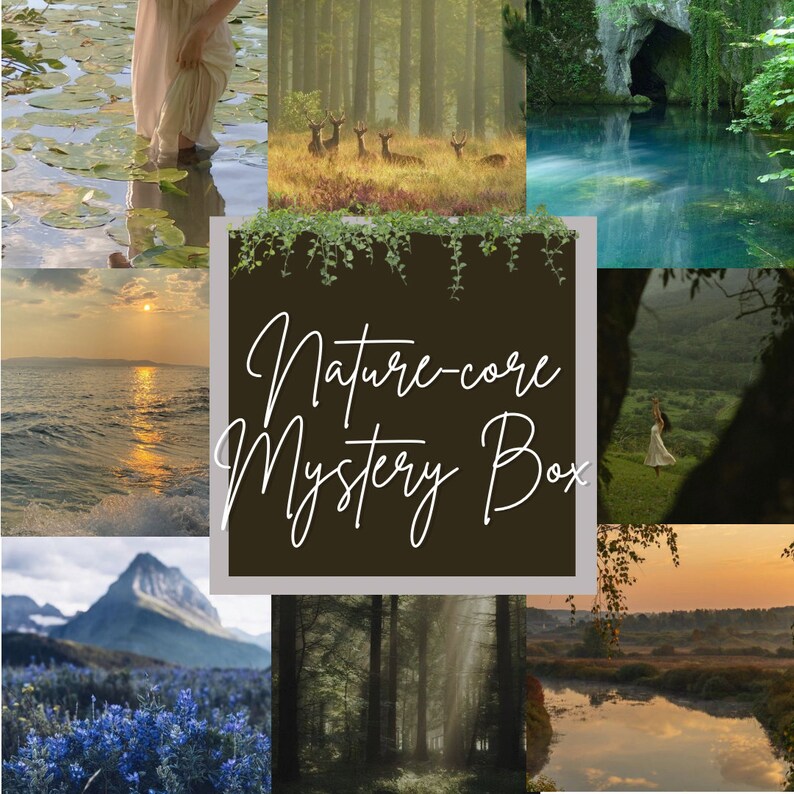 Nature Inspired Mystery Box Vintage Items Antique Gift Surprise Mystery ...