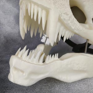 3D Printed T-rex Dino Mask With Moving Jaw & LED Eyes - Etsy