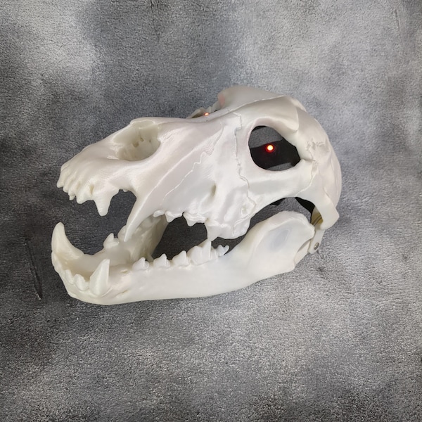 Skull Dog Mask - Etsy