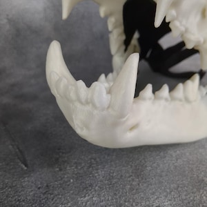3D Printed Wolf Skull Mask With Moving Jaw - Cosplay Halloween Mask - Etsy