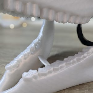 3D Printed Horse Skull Mask With Moving Jaw: Halloween Cosplay - Etsy