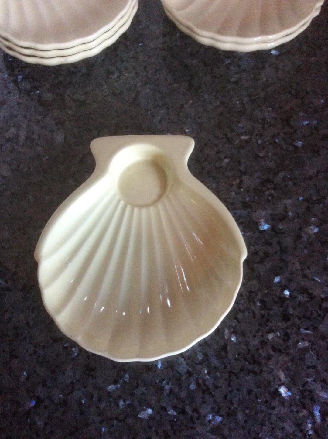 Vintage Hall 6 Ivory Scallop Shells. Set of Six. - Etsy