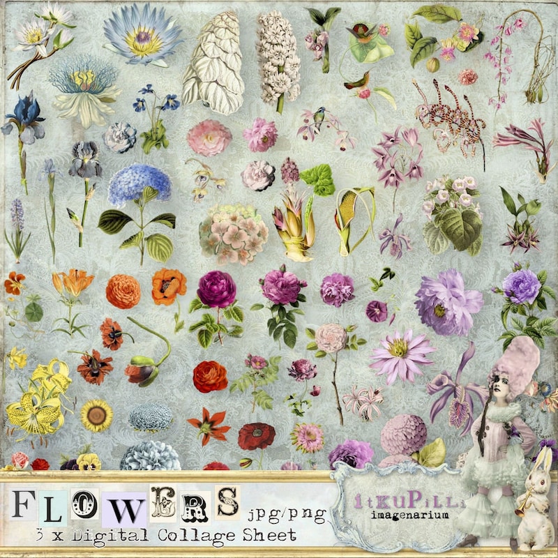 Flower Collage - Etsy