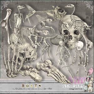 do human skeletons decompose