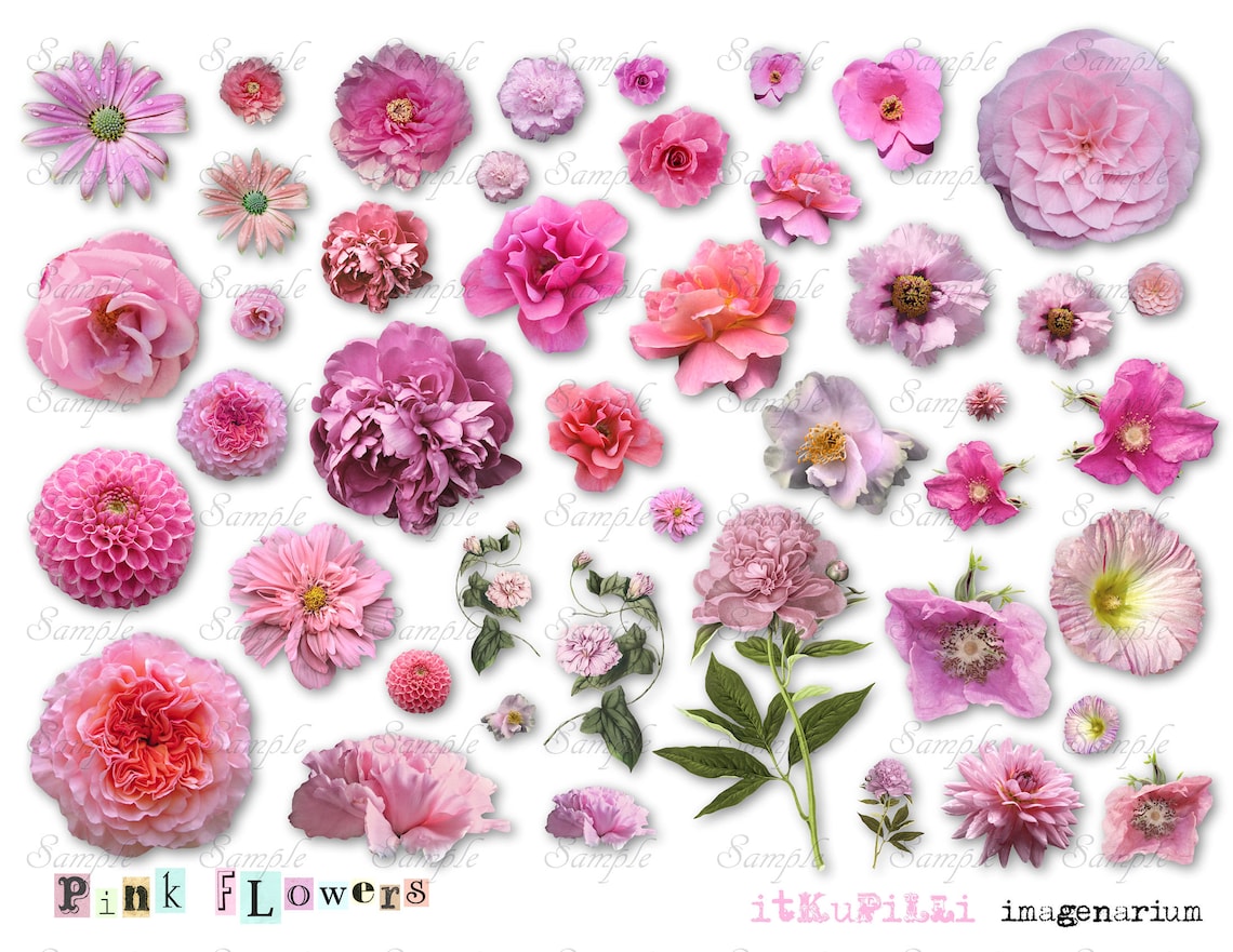 Pink Flowers Digital Collage Sheet Jpg and Png - Etsy