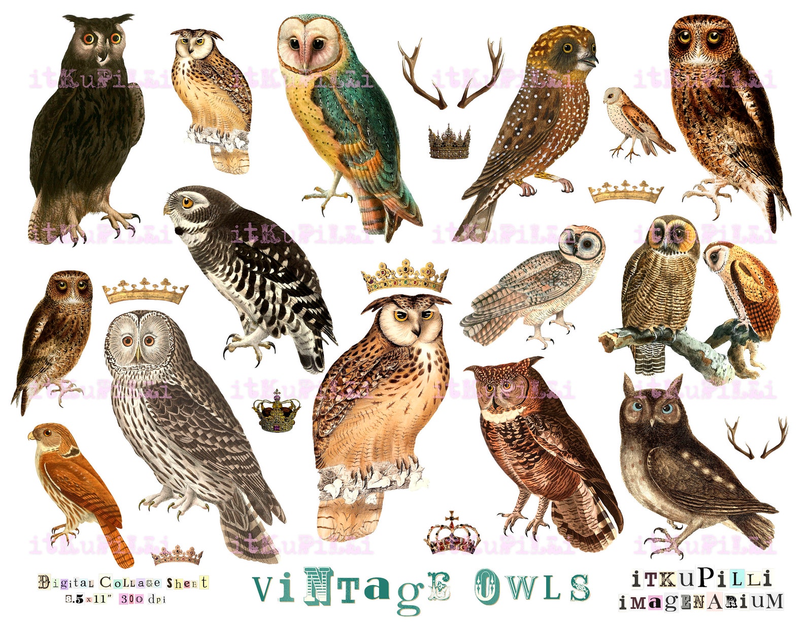 Vintage Owls - Digital Collage Sheet - Jpg and Png - Printable, Instant ...