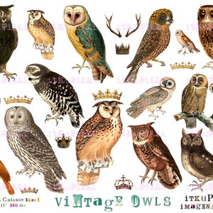 Vintage Owls - Digital Collage Sheet - Jpg and Png - Printable, Instant ...
