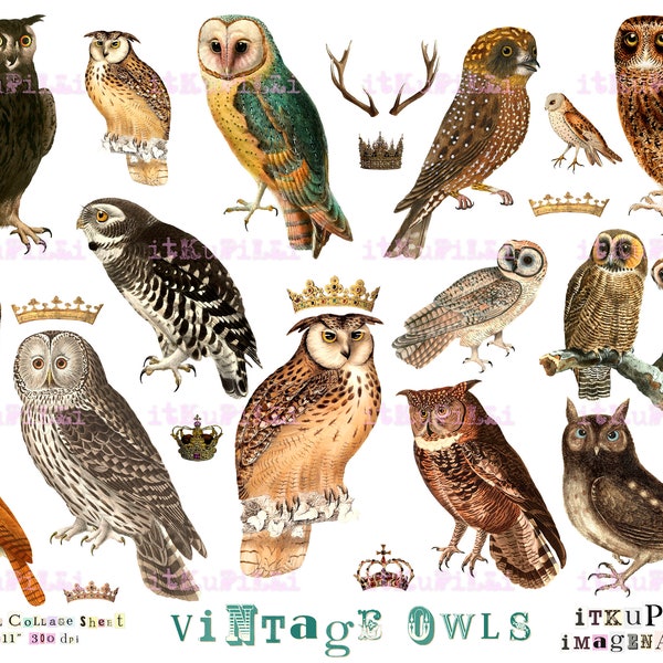 Owl Collage Sheet - Etsy