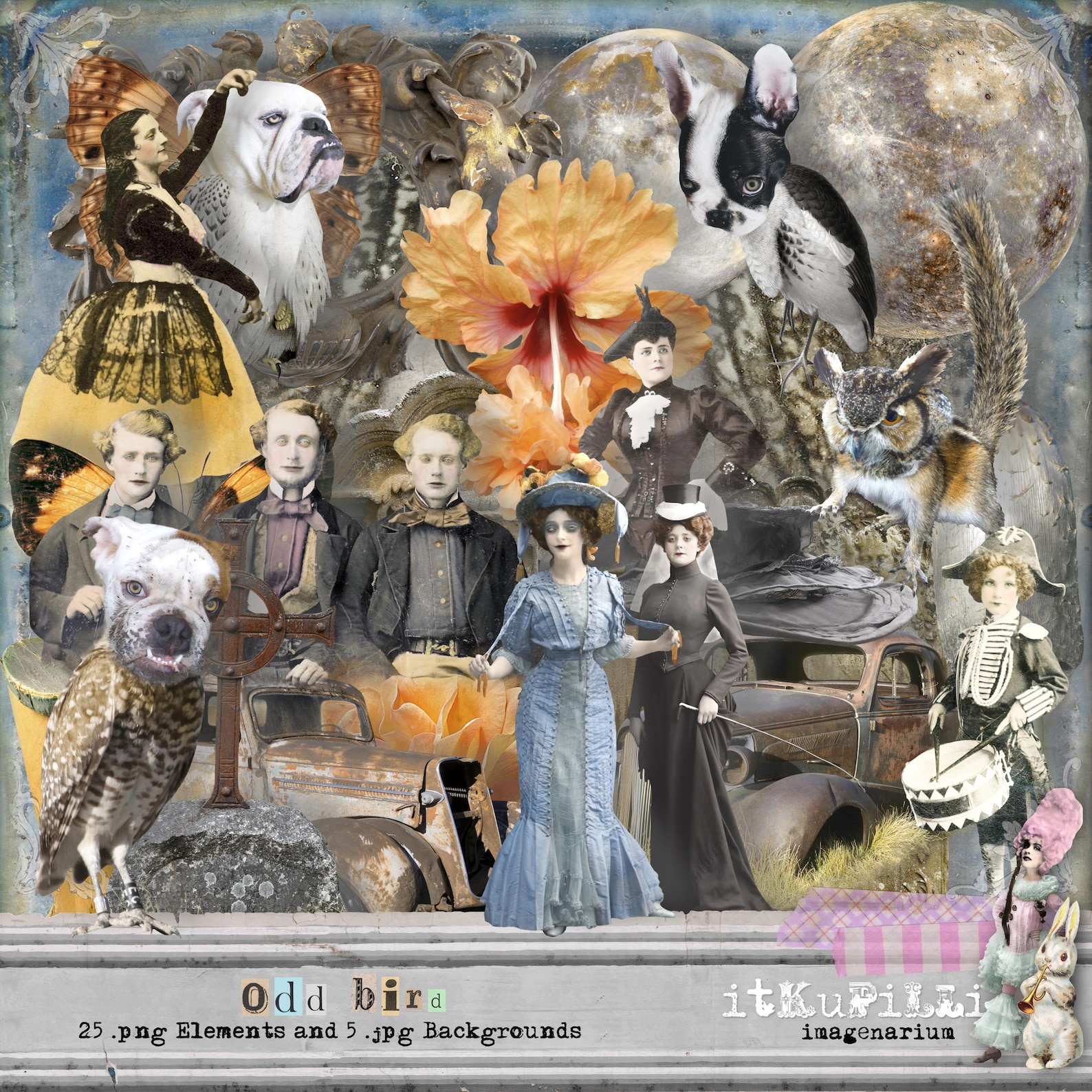 Odd Bird - Individual Files for Scrapbooking, Art Journaling, Digital ...