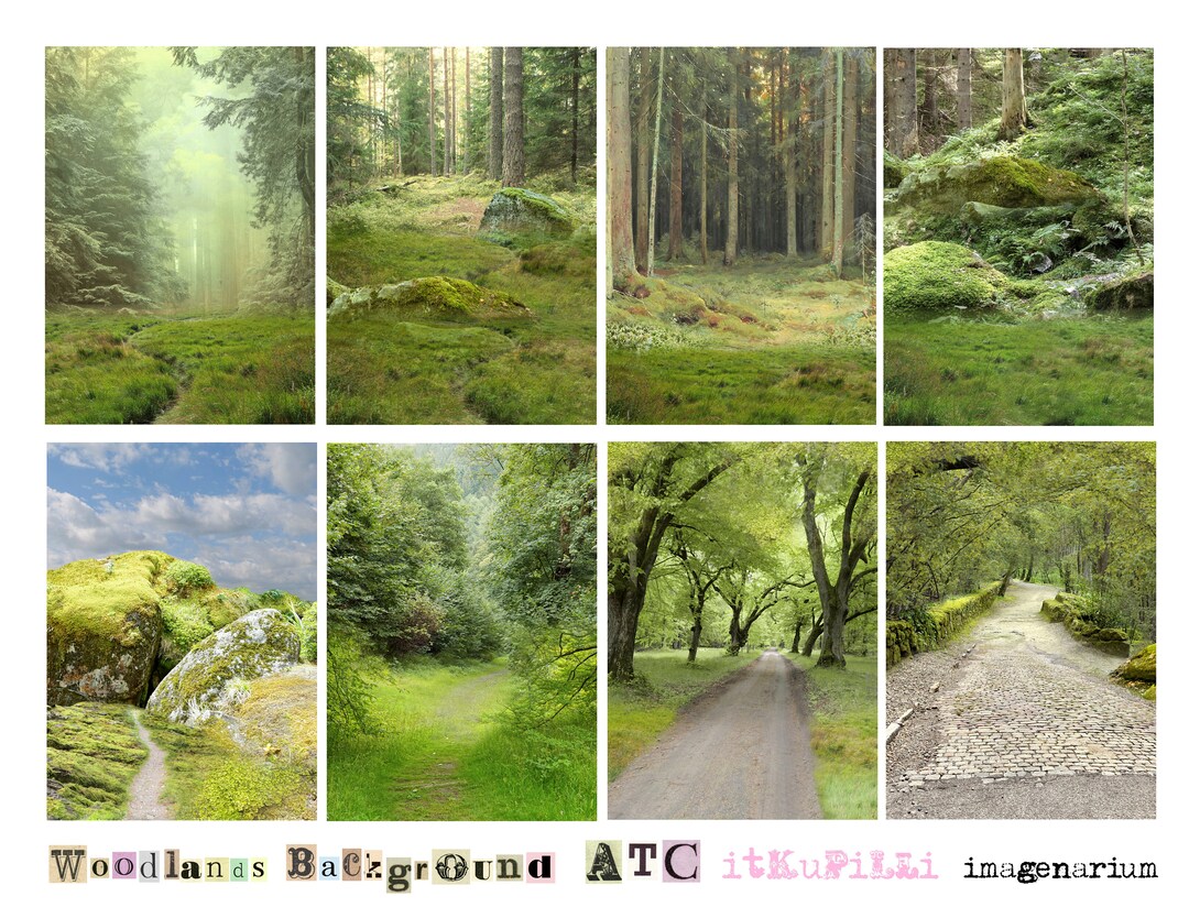 Woodlands Backgrounds ATC - Forest, Nature, Green - Digital Collage ...