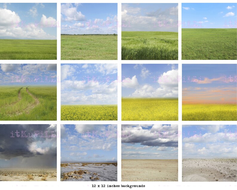 Horizon Backdrops Papers - Backgrounds12" X 12" - Field Meadow Desert ...