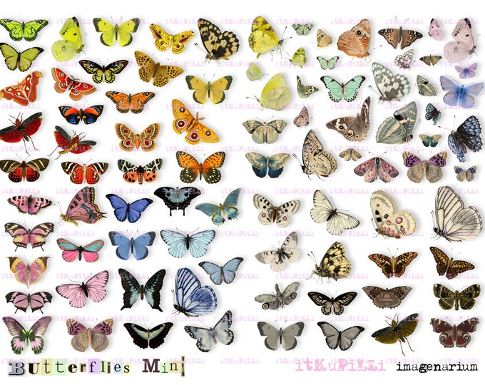 Medium Luna Moth Paper Cutouts, Realistic Paper Moths, 5 Pieces - Etsy