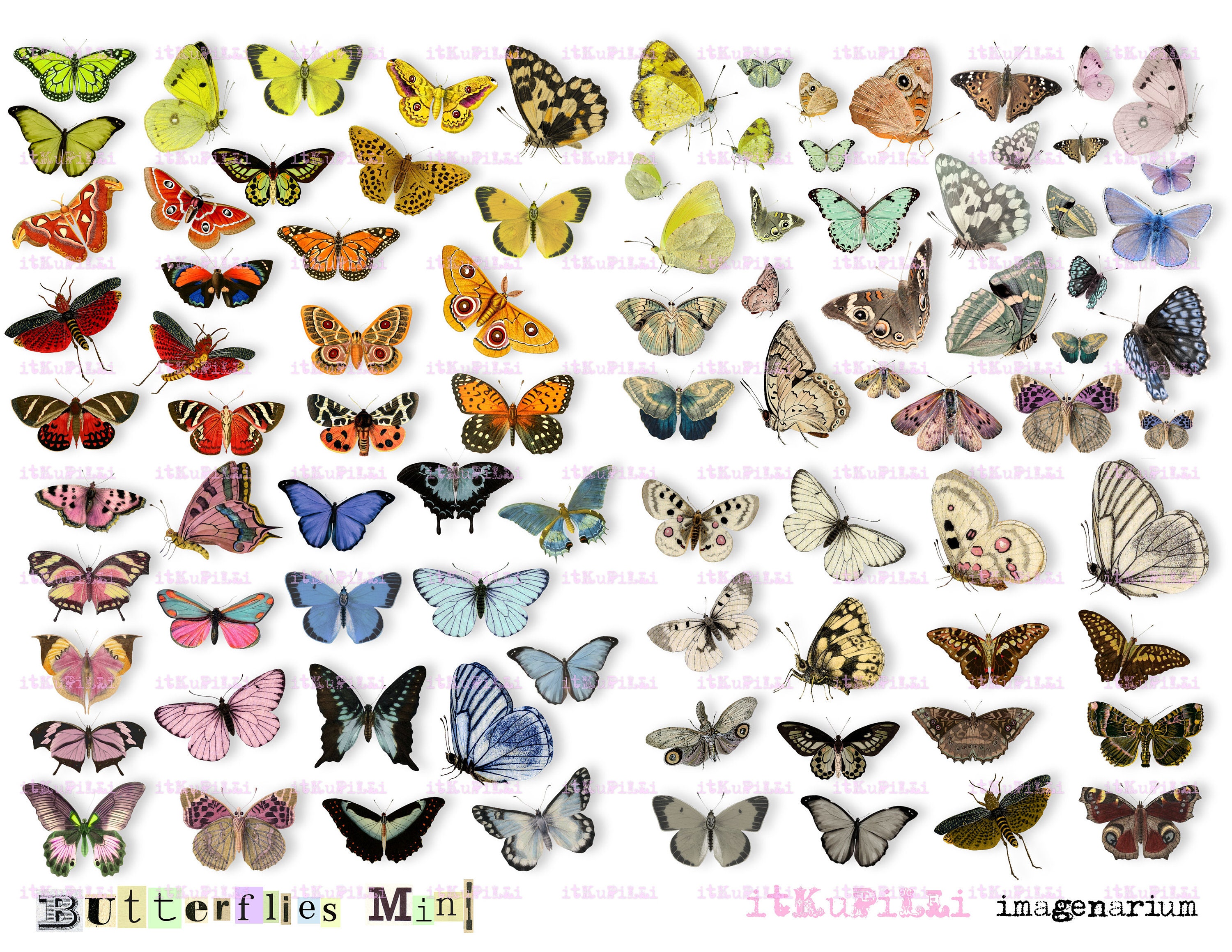Butterflies Mini ATC Digital Collage Sheet Jpg and Png - Etsy