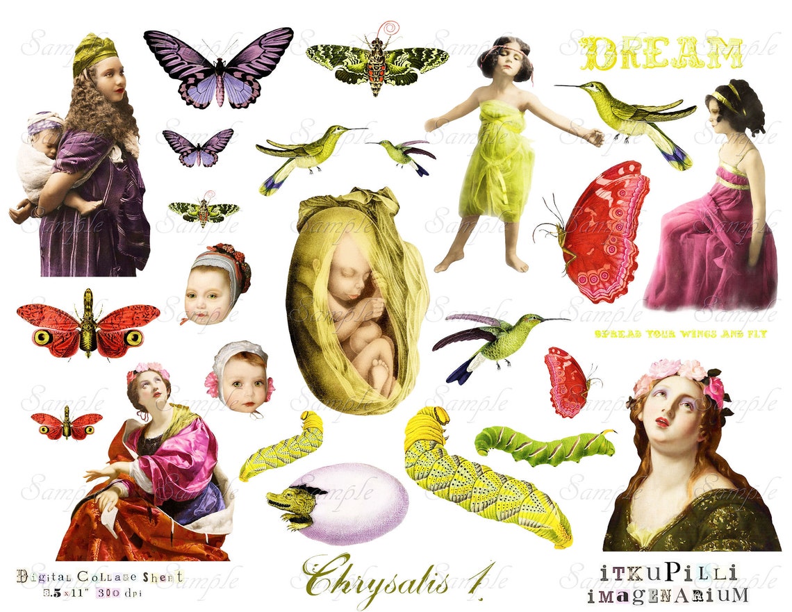Chrysalis Bundle - 3 X Digital Collage Sheet - Jpg and Png - Printable ...