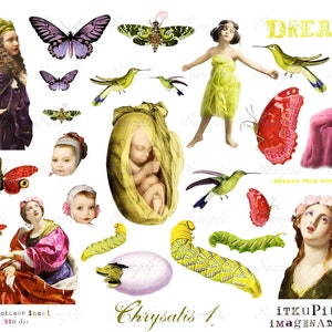 Chrysalis Bundle 3 X Digital Collage Sheet Jpg and Png Printable ...