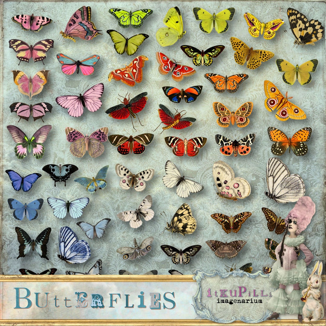 Butterflies - 3 X Digital Collage Sheet - Jpg and Png - Printable ...