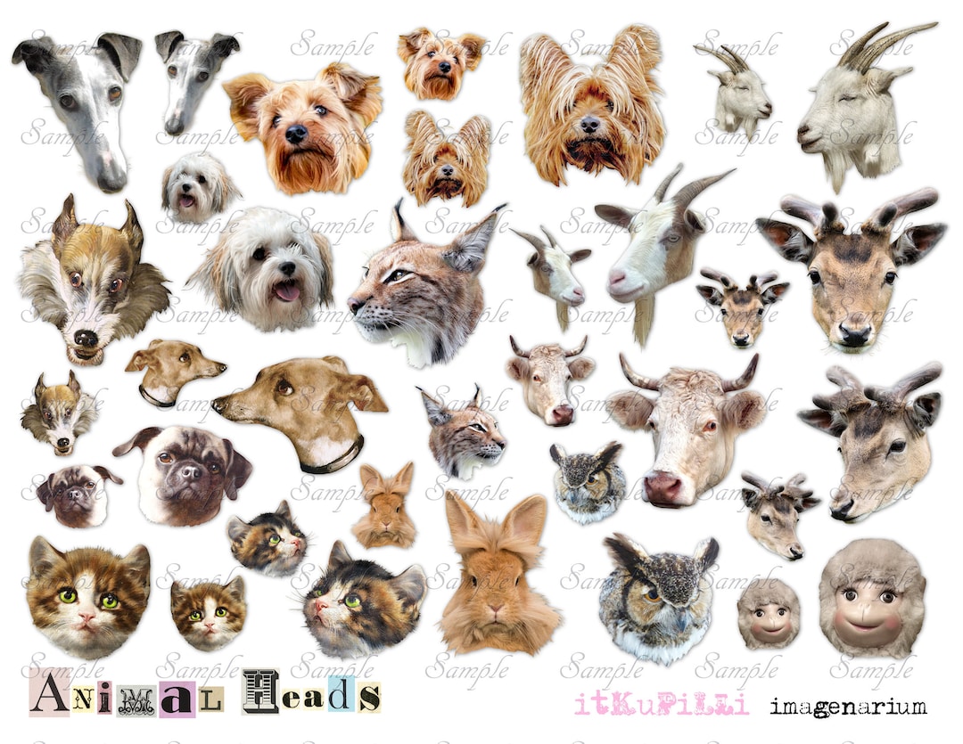 Animal Heads - Digital Collage Sheet - Jpg and Png - Printable, Instant ...