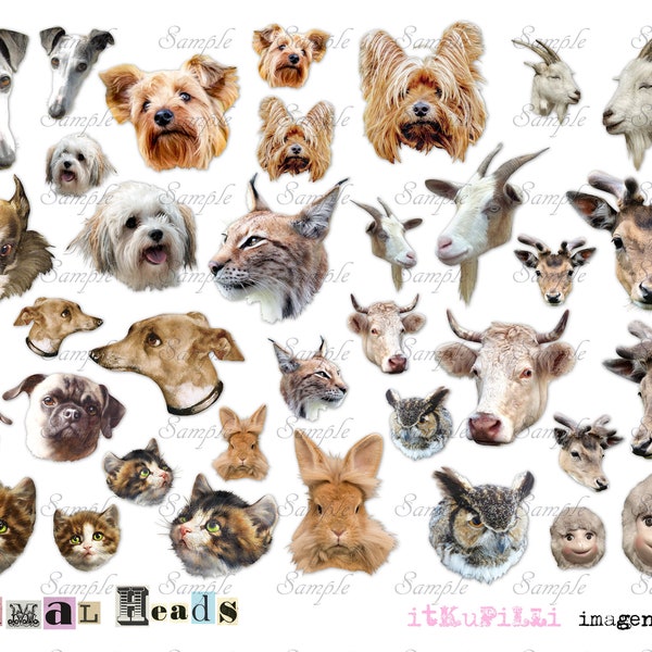 Animal Heads Printable - Etsy