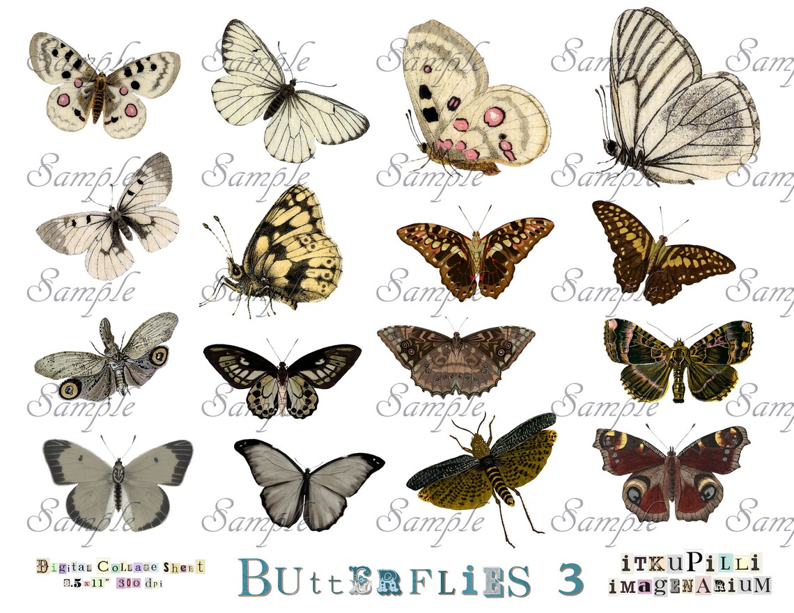 Butterflies 3 X Digital Collage Sheet Jpg and Png - Etsy