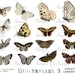 Butterflies - 3 X Digital Collage Sheet - Jpg and Png - Printable ...