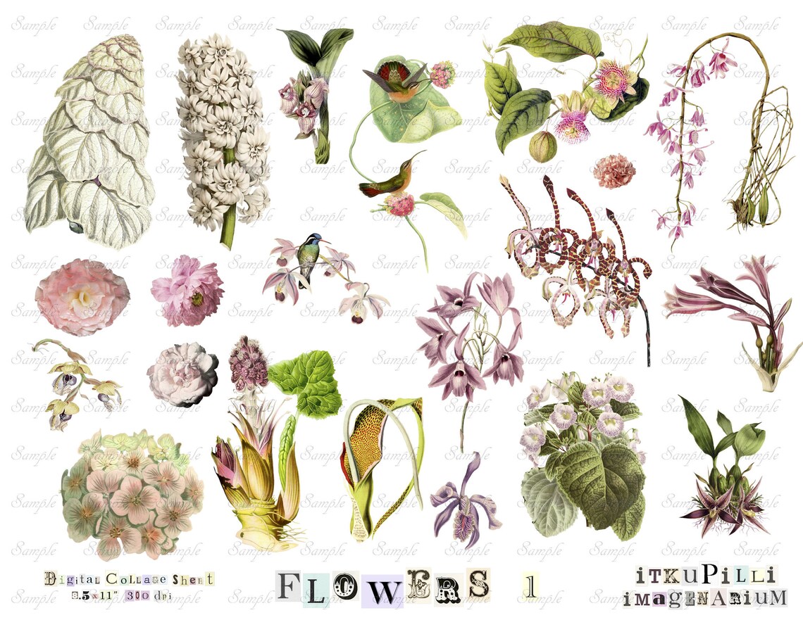 Flowers 3 X Digital Collage Sheet Jpg and Png Printable - Etsy