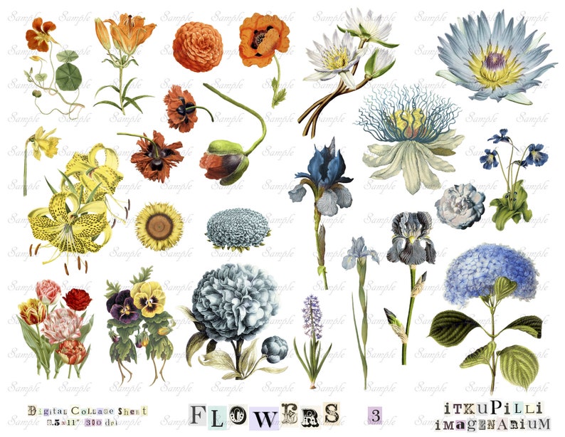 Flowers 3 X Digital Collage Sheet Jpg and Png Printable - Etsy