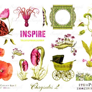 Chrysalis Bundle - 3 X Digital Collage Sheet - Jpg and Png - Printable ...
