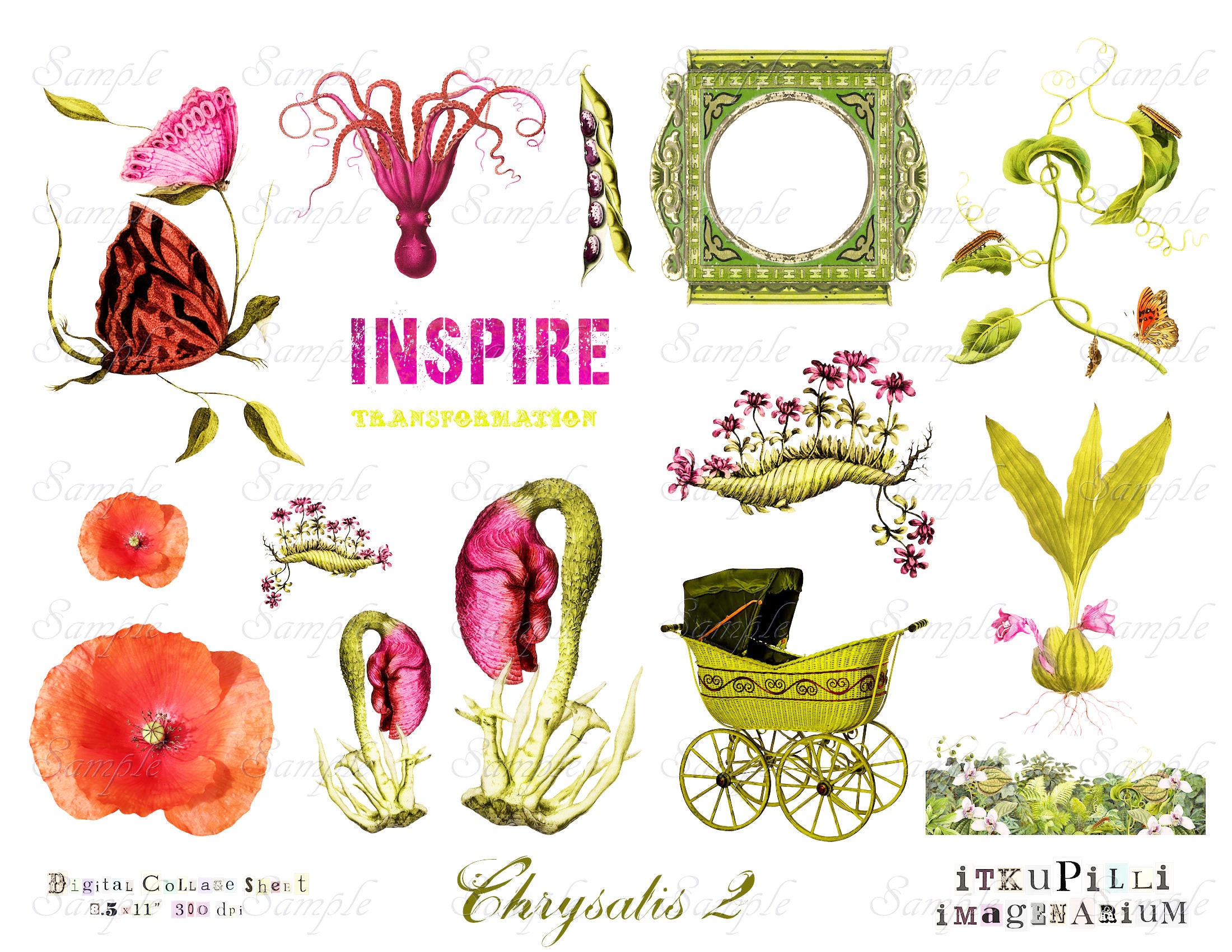 Chrysalis Bundle - 3 X Digital Collage Sheet - Jpg and Png - Printable ...