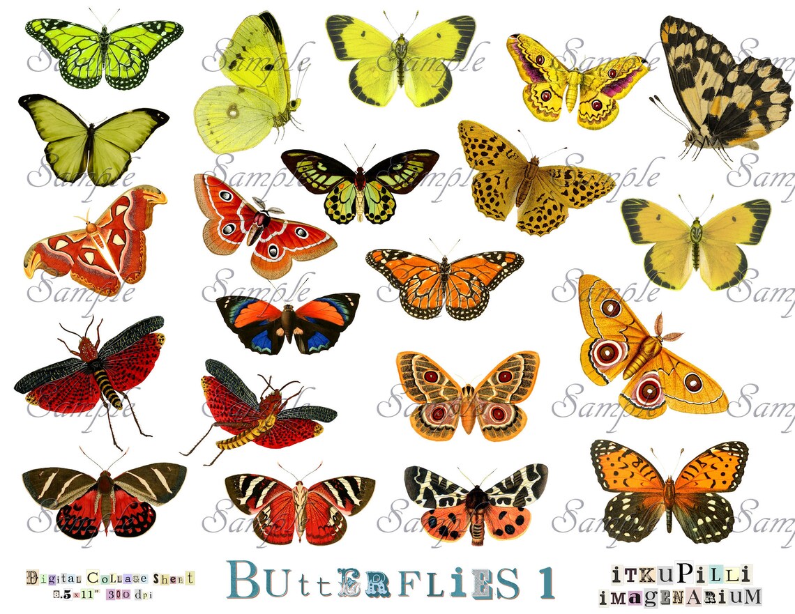 Butterflies 3 X Digital Collage Sheet Jpg and Png - Etsy