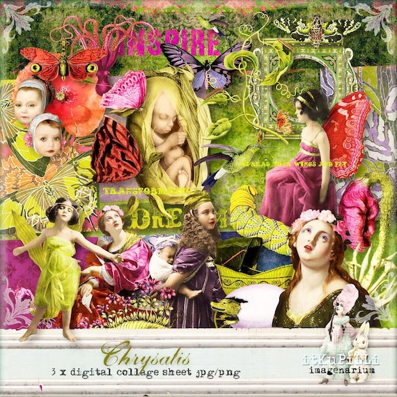 Chrysalis Bundle 3 X Digital Collage Sheet Jpg and Png - Etsy