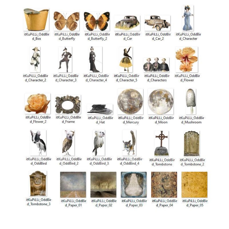 Odd Bird - Individual Files for Scrapbooking, Art Journaling, Digital ...