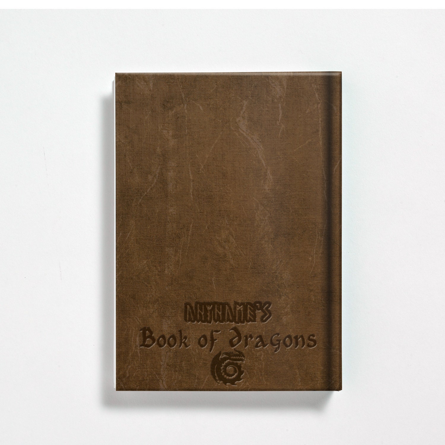 How to Train Your Dragon Book of Dragons / Dragon Manual - Etsy