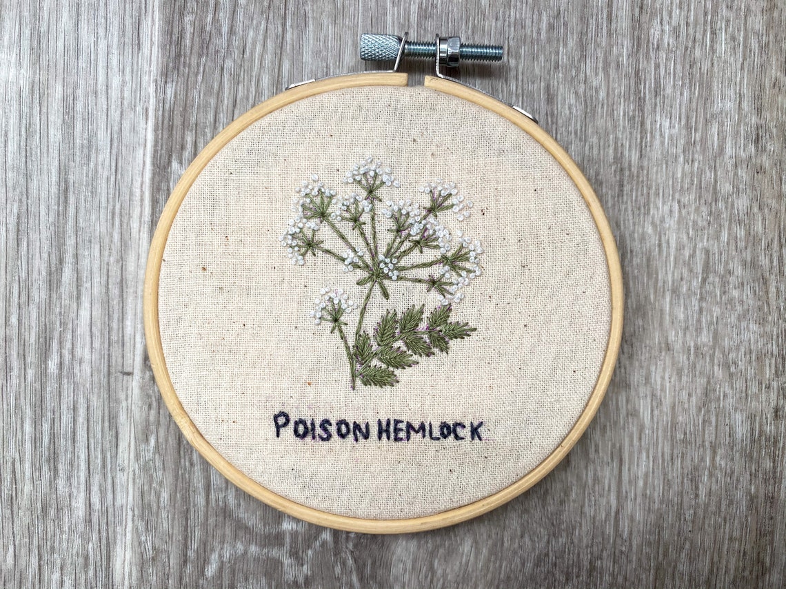 Poison Hemlock Hand Embroidery PDF Pattern Poisonous Plants | Etsy