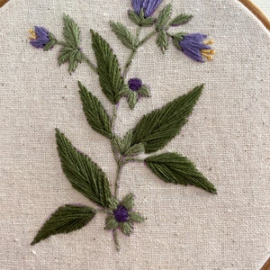 Deadly Nightshade Hand Embroidery PDF Pattern, Poisonous Plants ...