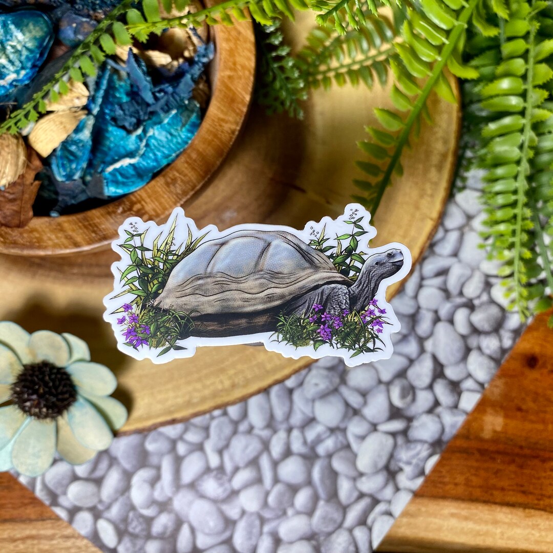 Tortoise Sticker - Etsy