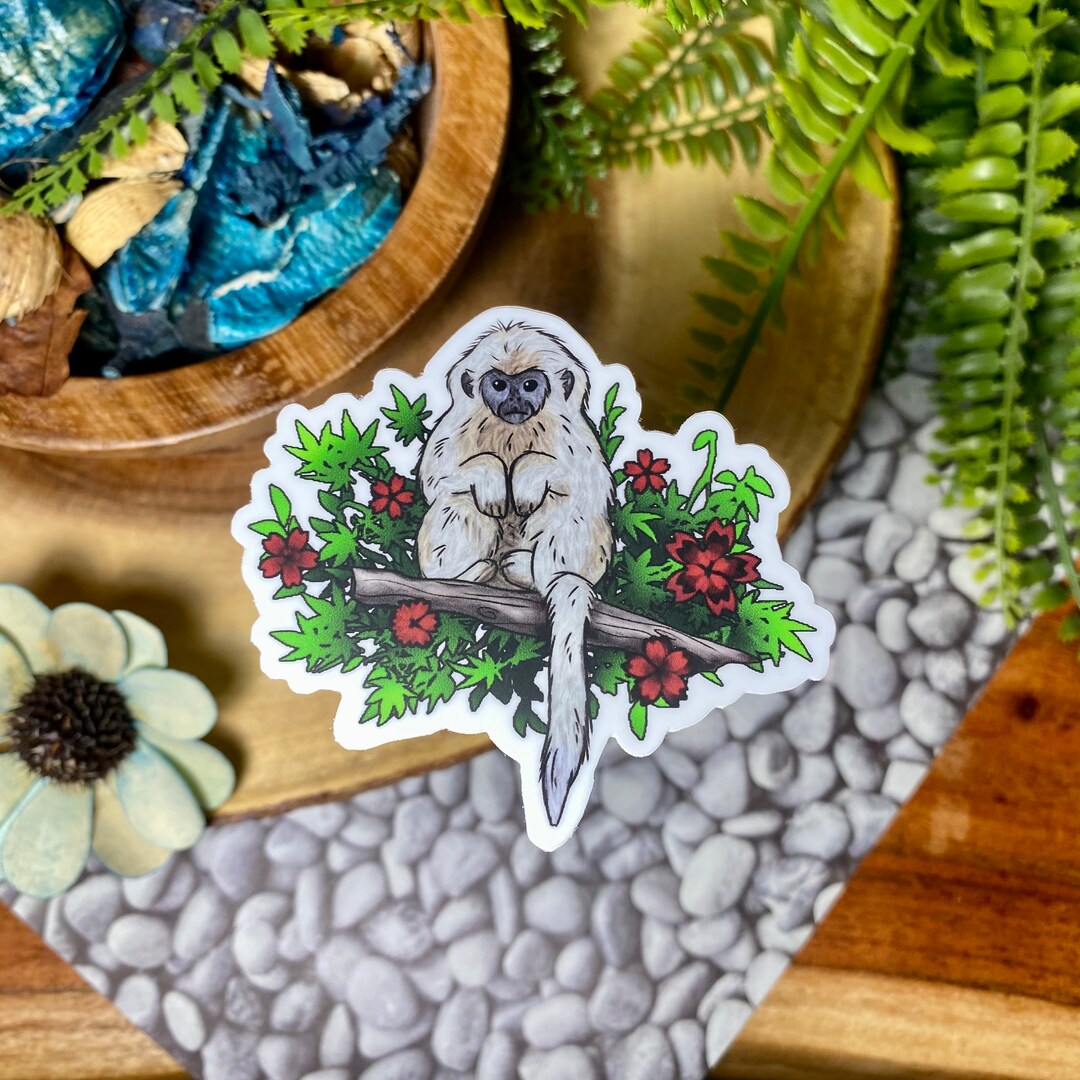 Waterproof Snub-nosed Monkey Sticker - Etsy