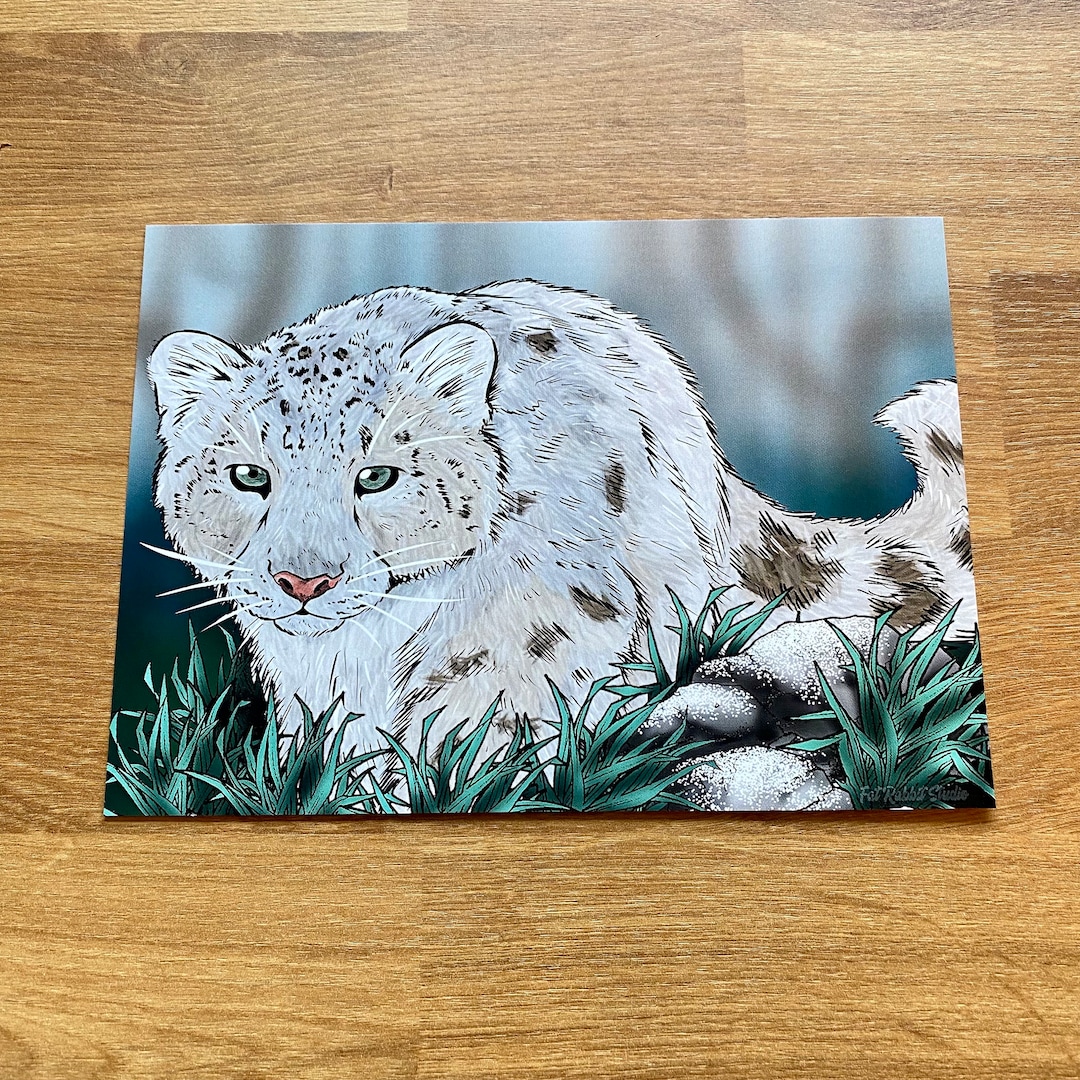 Snow Leopard Print - Etsy