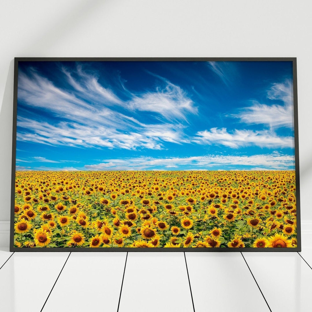 Sunflower Field Poster Sunflower Poster Sunflower Canvas - Etsy