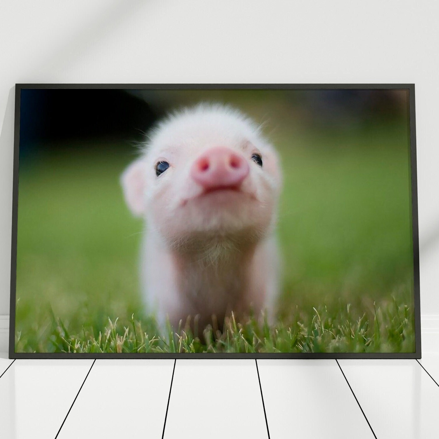 Baby Piglets Wallpaper