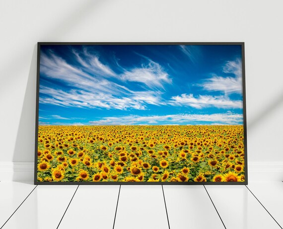 Sunflower Field Poster Sunflower Poster Sunflower Canvas - Etsy