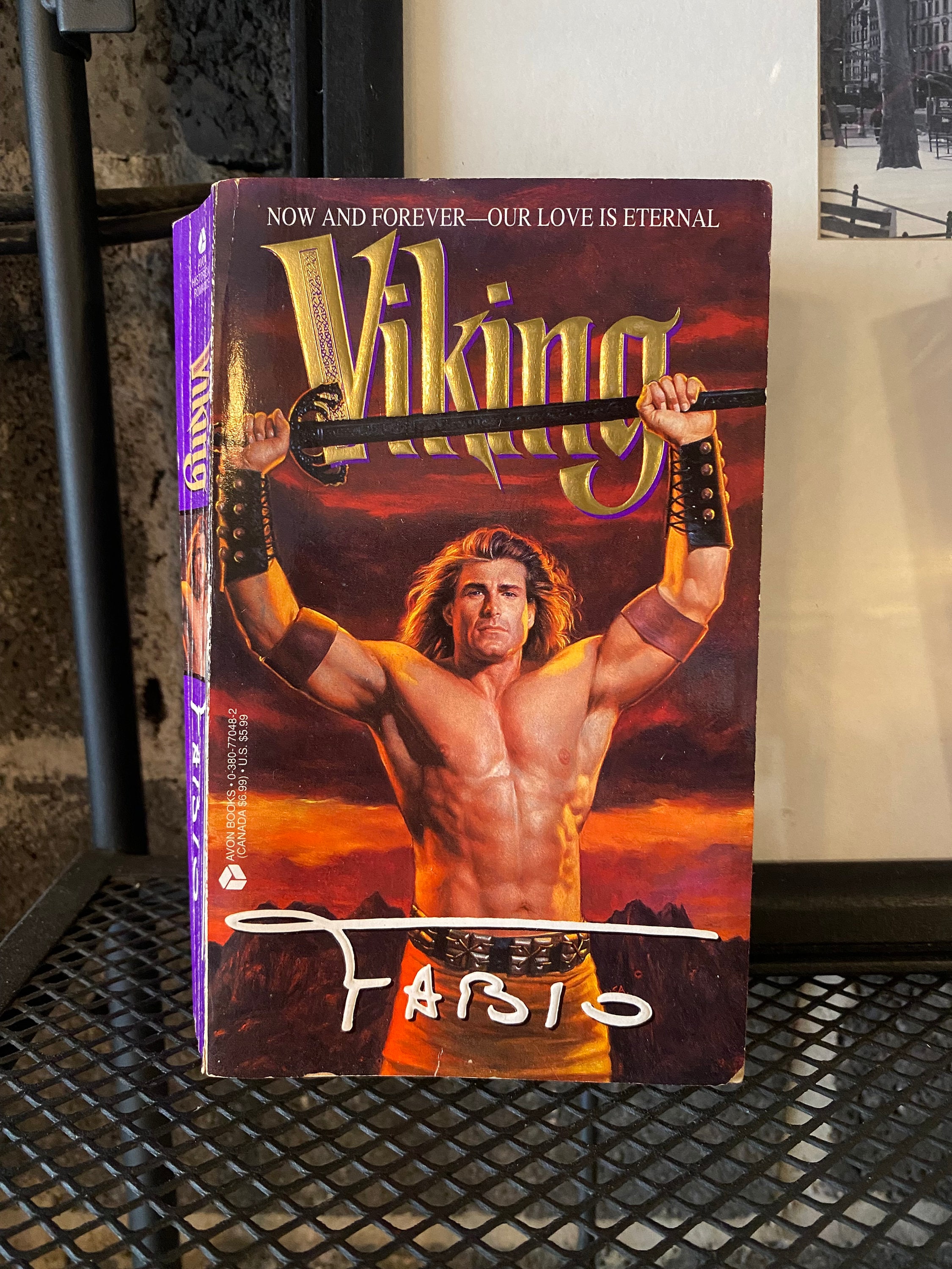 Fabio Romance Novel
