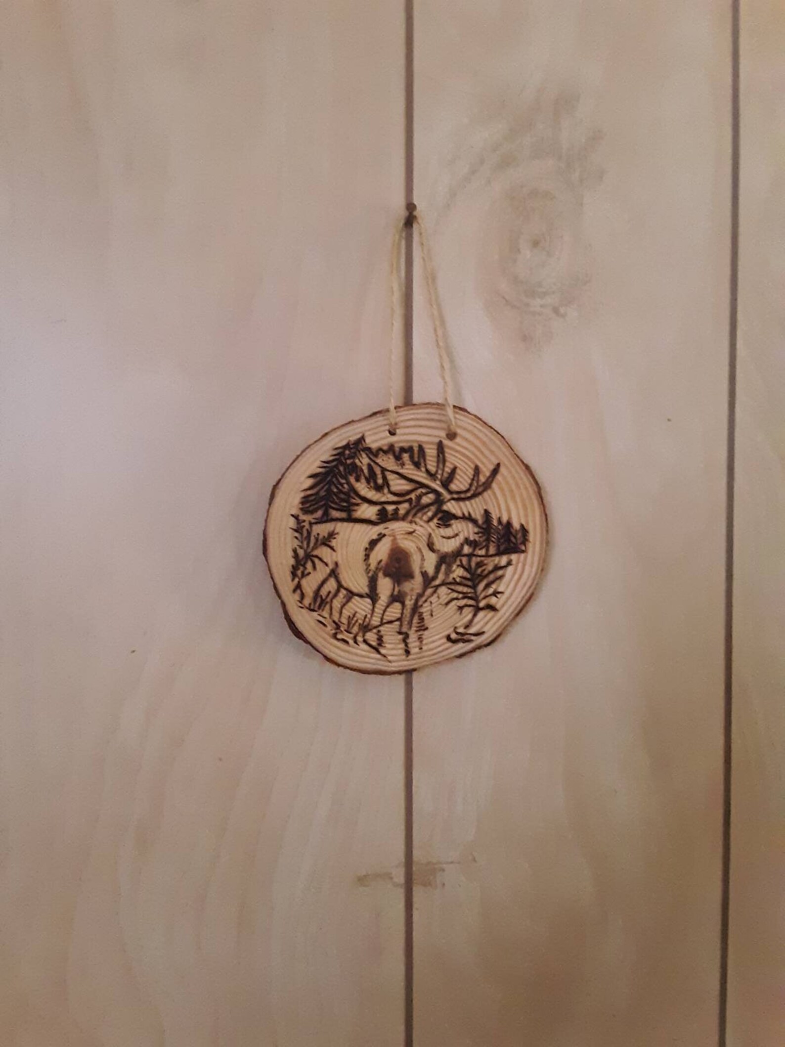 Maine Moose Pyrography - Etsy