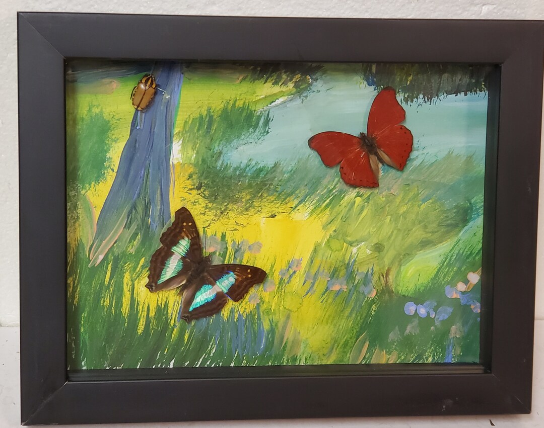 3 Dimensional Shadow Box Framed Painting With Real Butterflies and ...