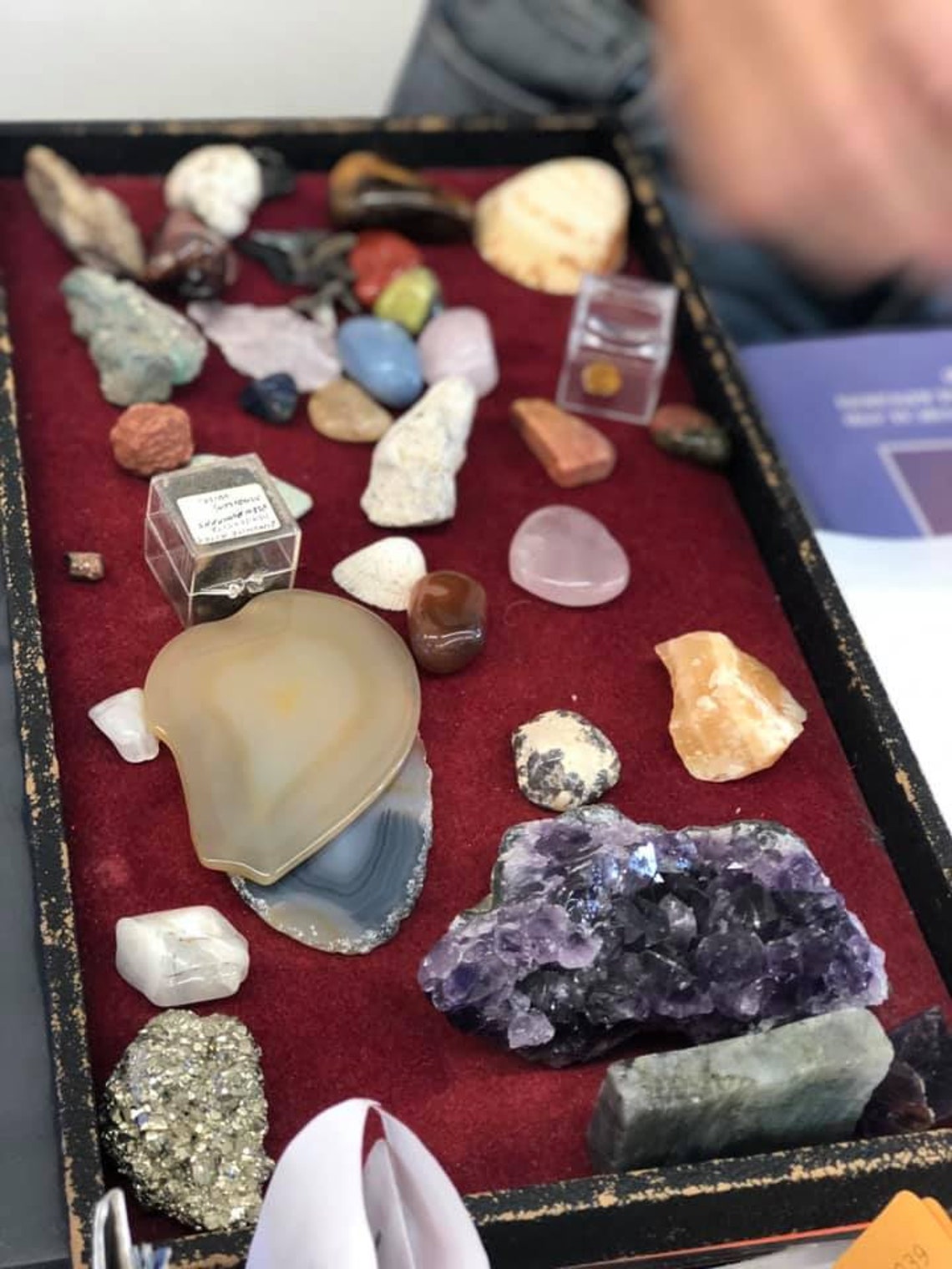 Geology Unit Study - Etsy