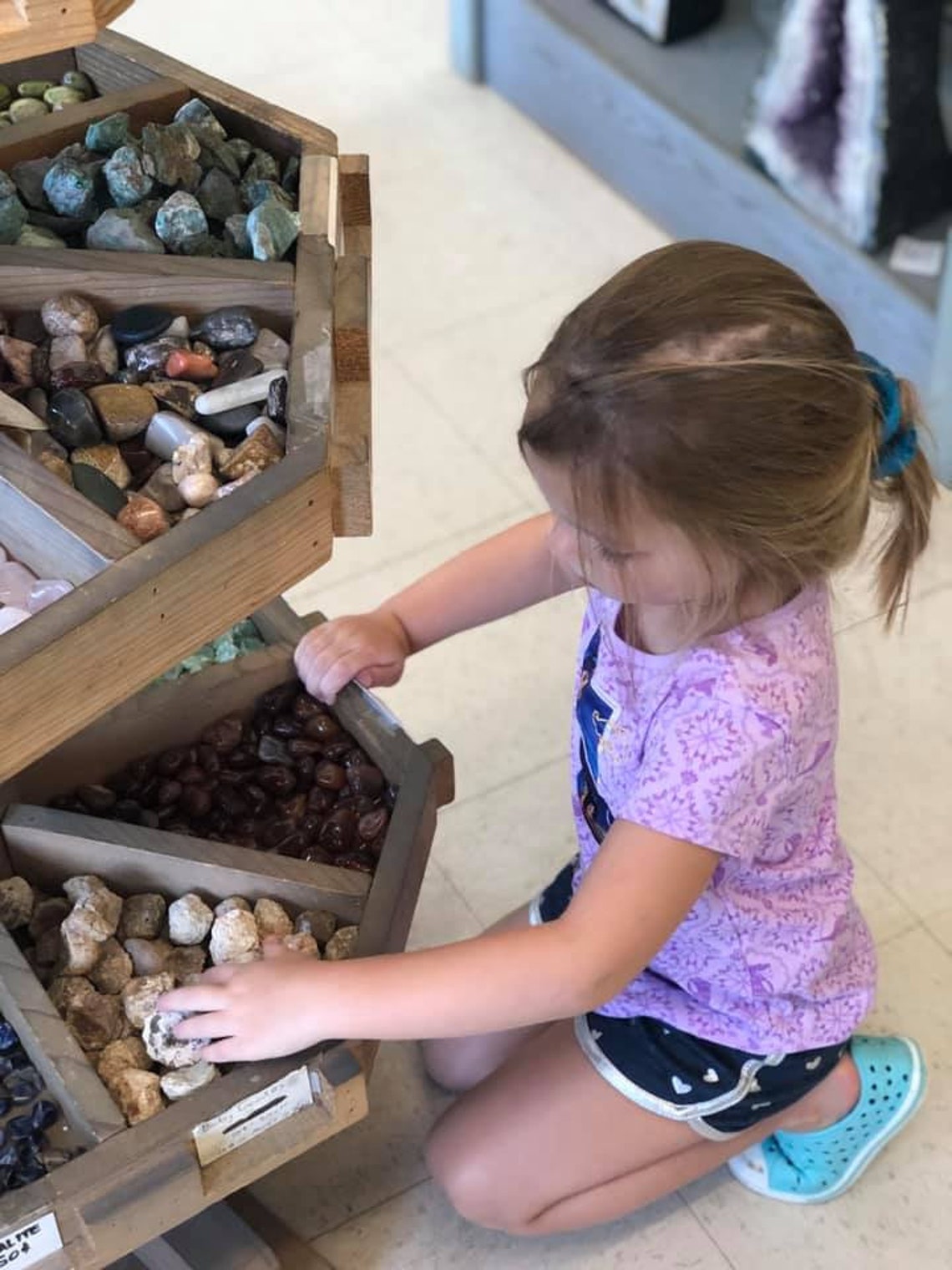 Geology Unit Study - Etsy